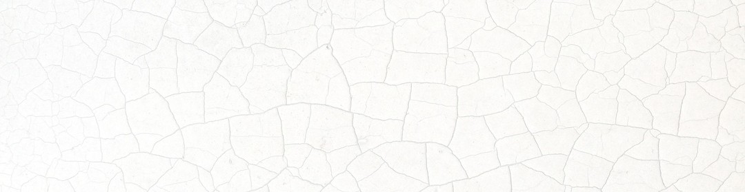 Non Surgical BBL Specialist Near Me in Cleveland, OH