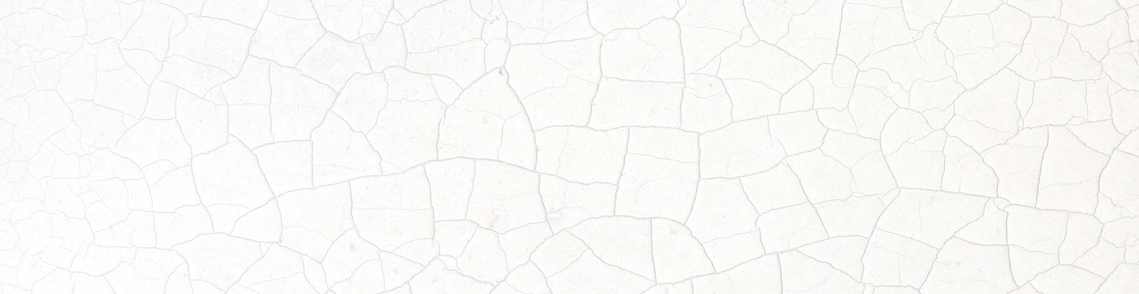 Non Surgical BBL Specialist Near Me in Cleveland, OH